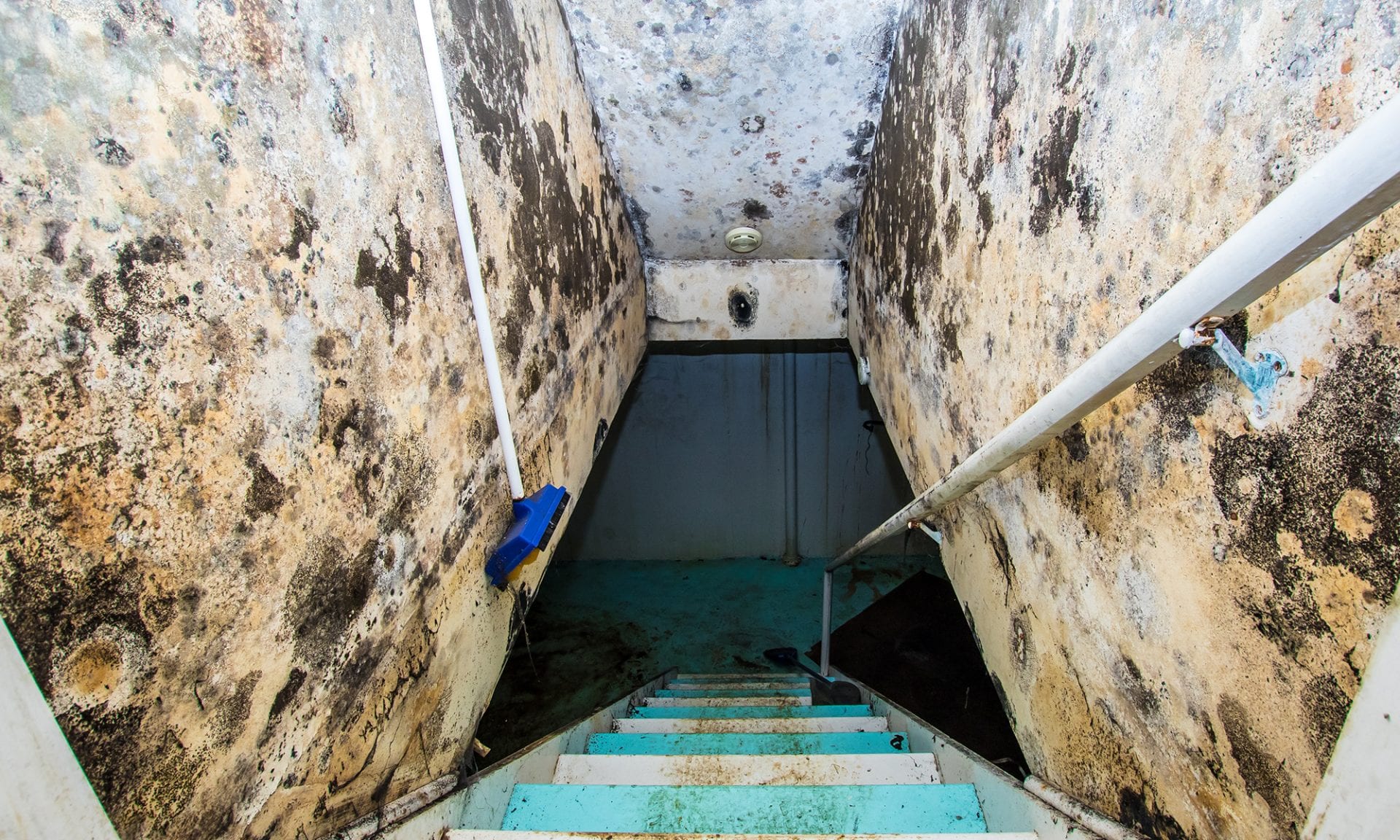 Basement Waterproofing and Foundation Repair | D-Bug